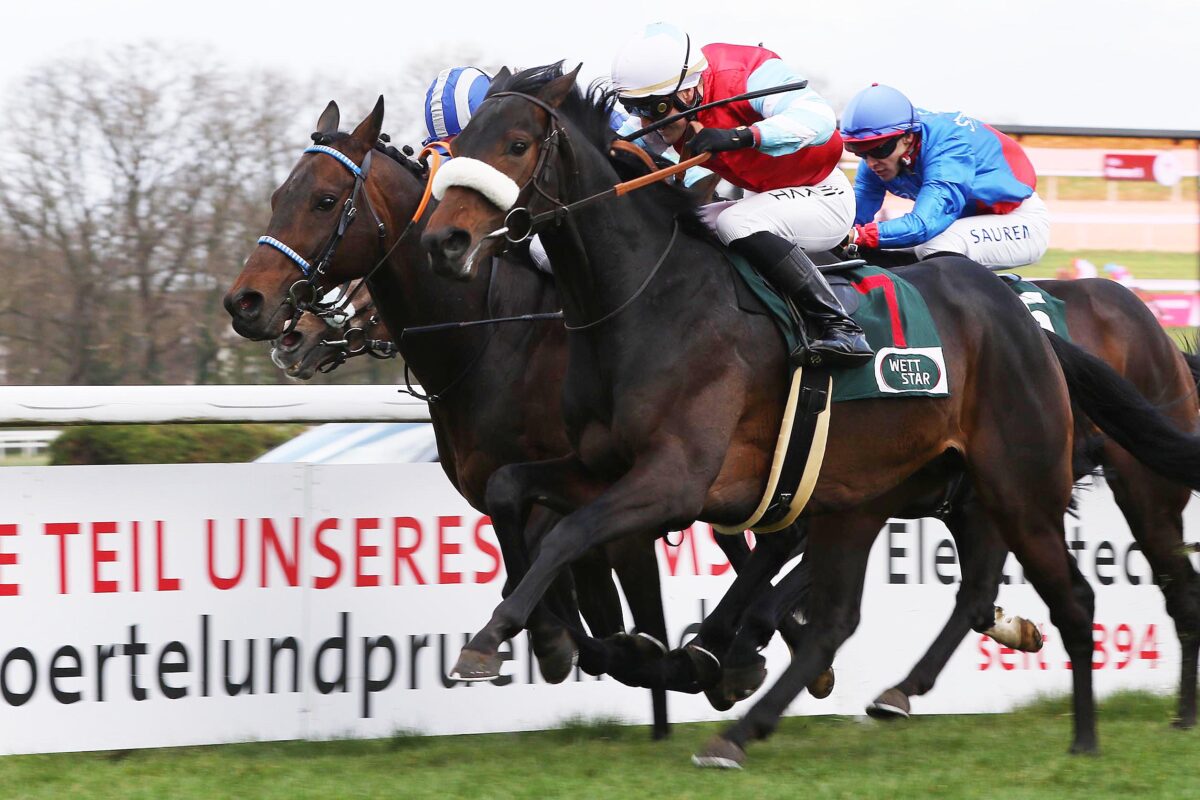 Plus vier – Jetzt 19 Pferde im Grossen Preis von Tattersalls ...