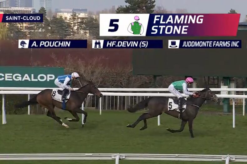 Noch acht in den 1000 Guineas – Harte Nuss Flaming Stone! - GaloppOnline.de