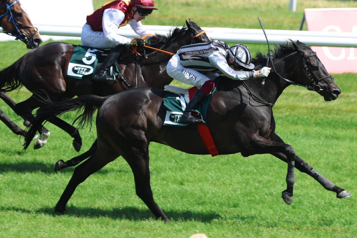 Der Sieg der großen Emotionen – North Hunter mit zehn Jahren ...