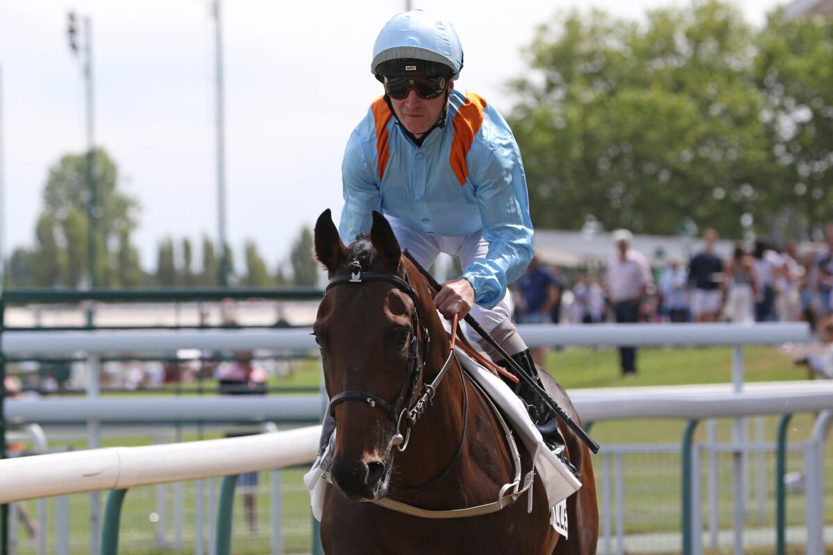 Kommt der bärenstarke Lazy Griff nach Berlin? Option steht im Raum ...