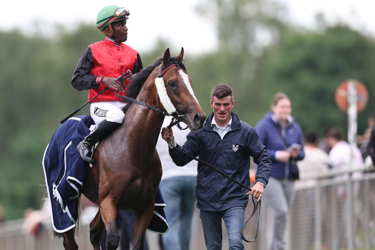 Mitfavorit Delgardo im Deutschen Derby mit Eduardo Pedroza ...