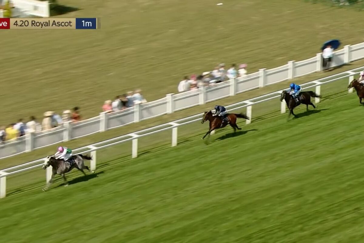 Field of Gold macht es Vater Kingman nach und beweist, dass er die ...