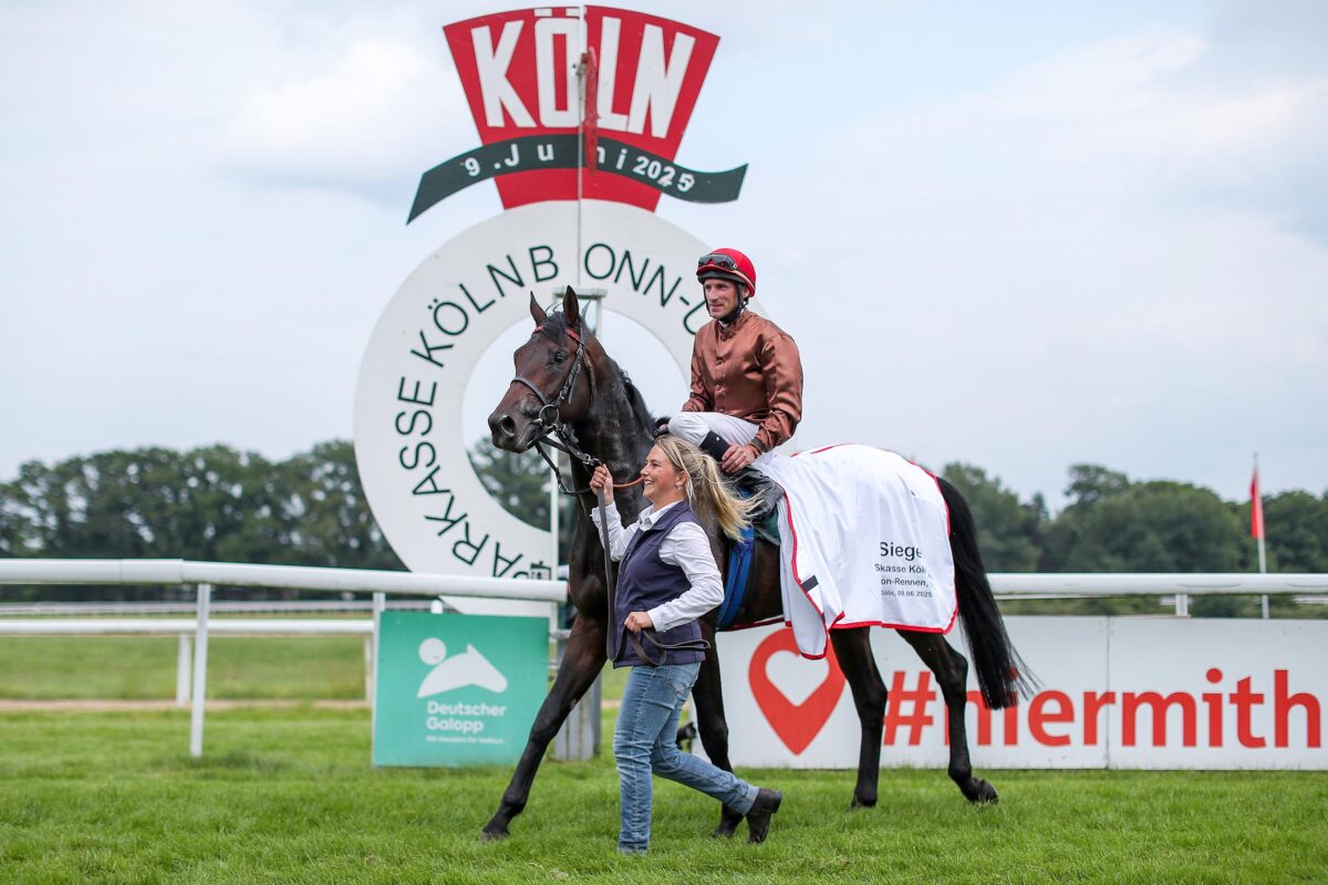 Bookies einig in den Derby-Top 3: Zuckerhut, Path of Soldier, Delgardo ...