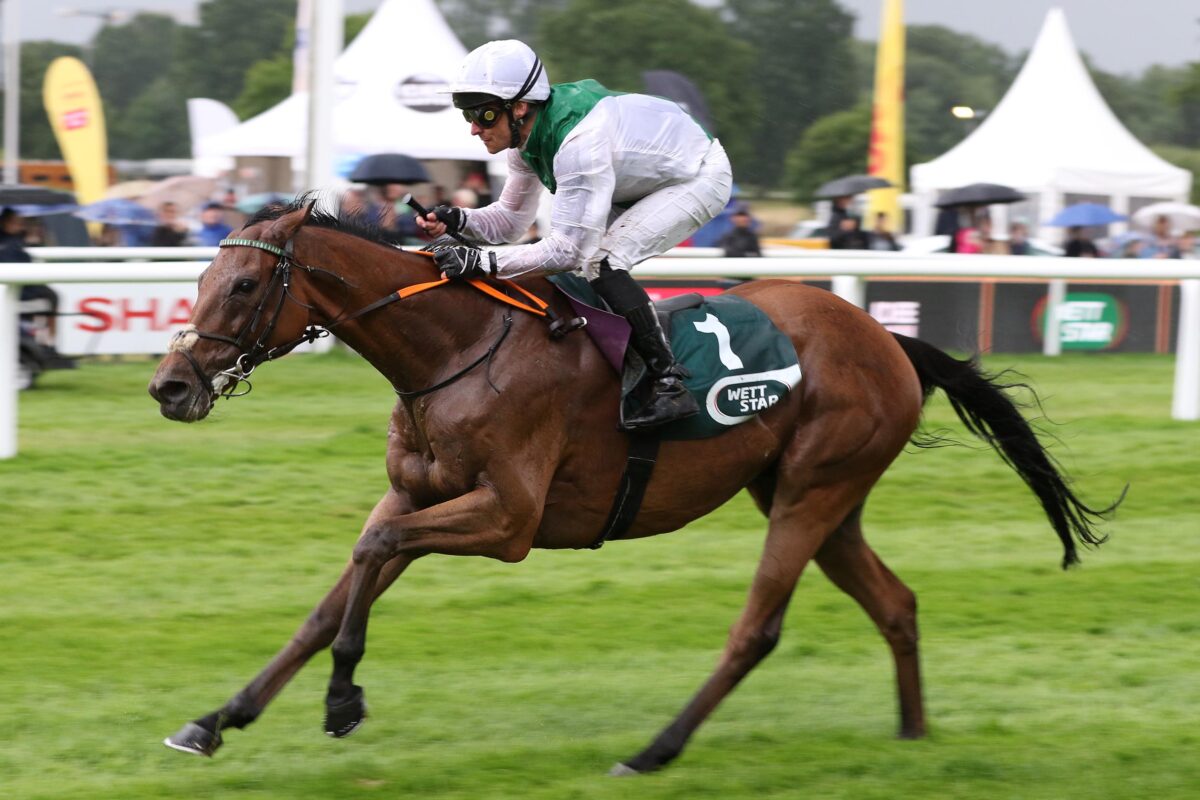 Patricia castillo голая she's genuinely easygoing and very