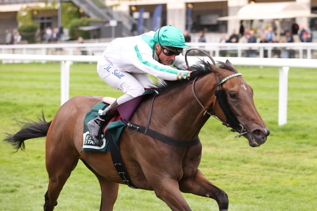 Seidl über Ali: „Bin ehrlich: Hätte nicht gedacht, dass das klappt ...