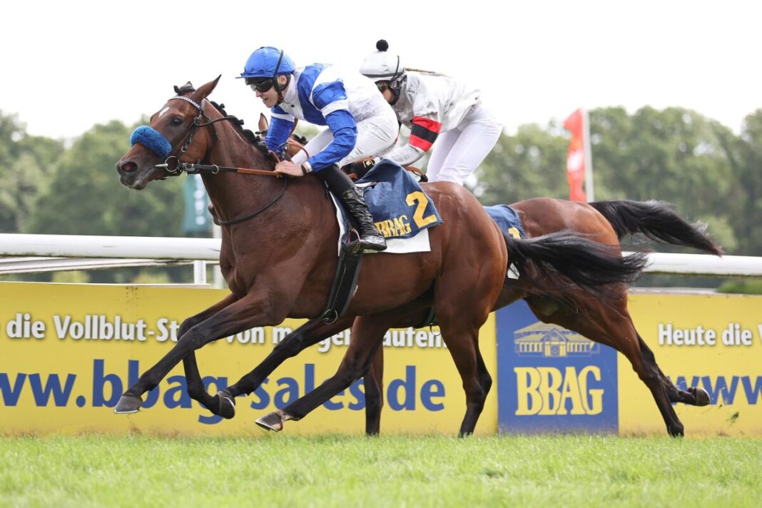 Grewe Eins-Zwei im BBAG Auktionsrennen – Voitton vor Perito - GaloppOnline.de