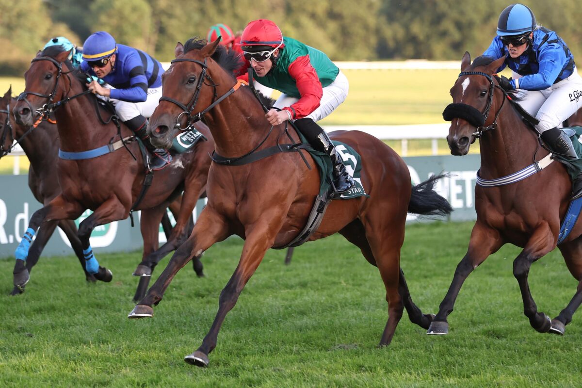 Black magic xnxx reached out with Ariana's support staff