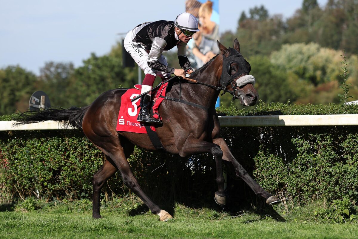 Deutsche Elemente bei der Arqana Vente Mixte de Février - GaloppOnline.de