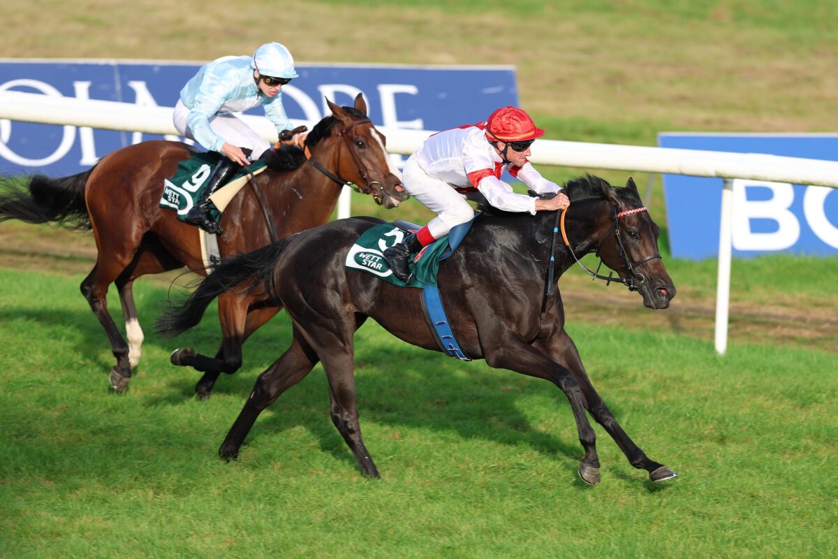 Poonam pandey live nip slip she has a lovely Hispanic