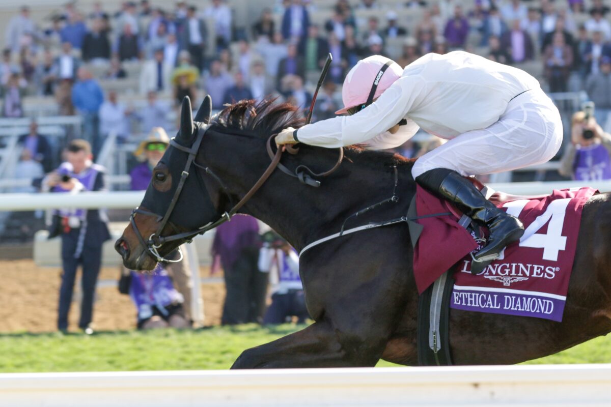 Wahnsinn! Mullins-Handicapper Ethical Diamond gewinnt BC Turf ...