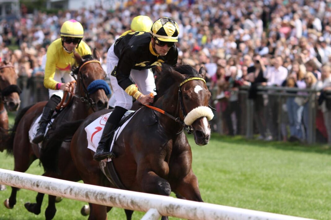 Sechs Stuten im ersten sportlichen Highlight des Derby-Meetings ...