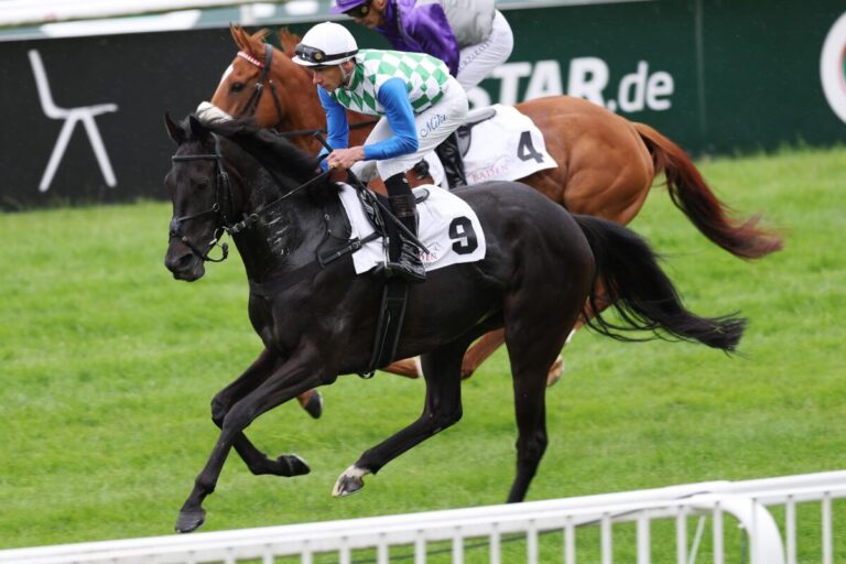 Gruppe-Siegerin Princess Badee beendet Karriere – Wechsel in die Zucht ...
