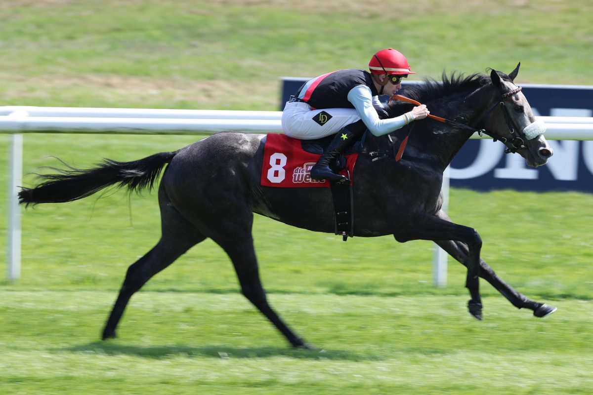 A Racing Beauty und Tangut in die Oaks d’Italia - GaloppOnline.de