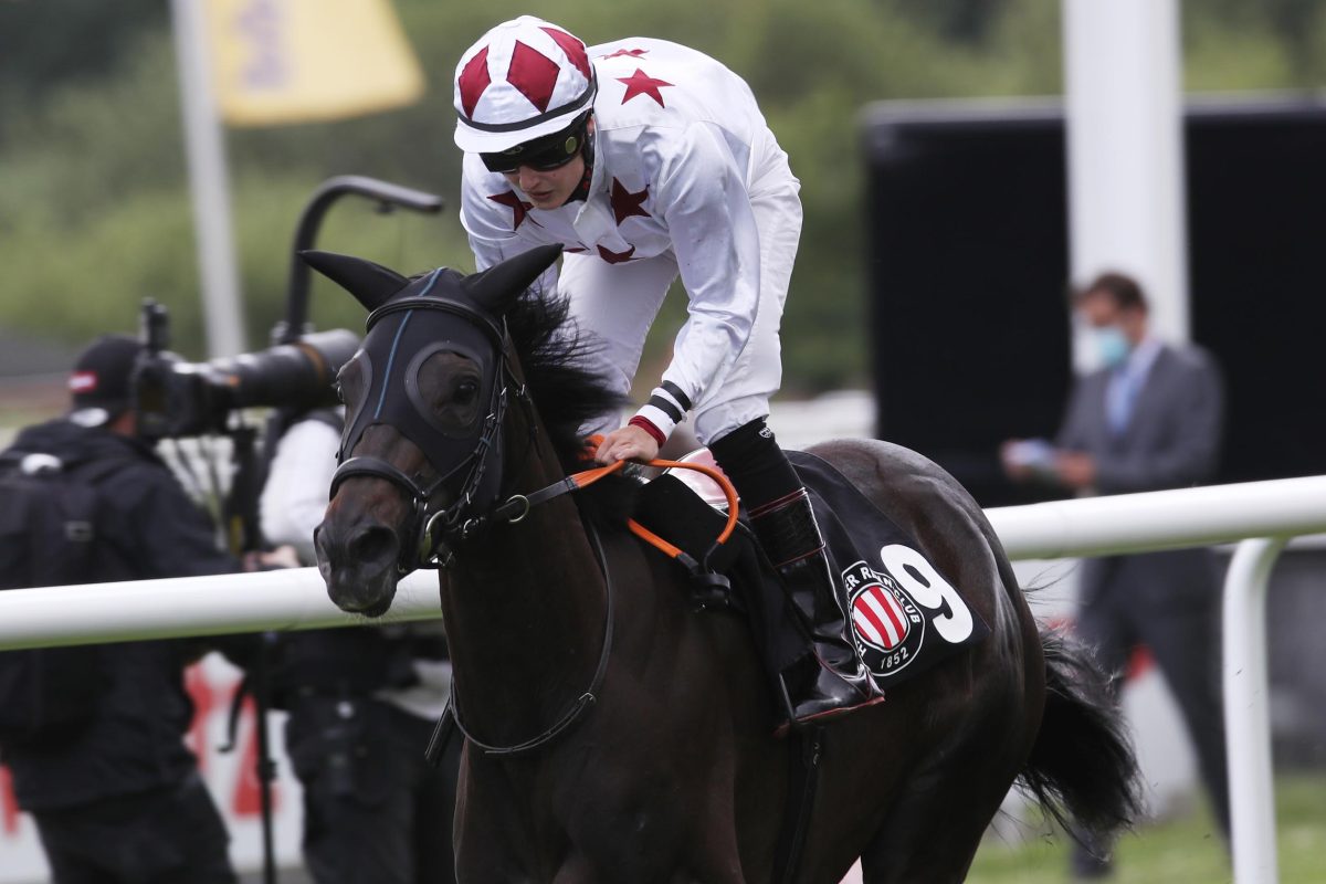 Leon Wolff holt nach Thriller im Nachwuchsförderpreis auf - GaloppOnline.de