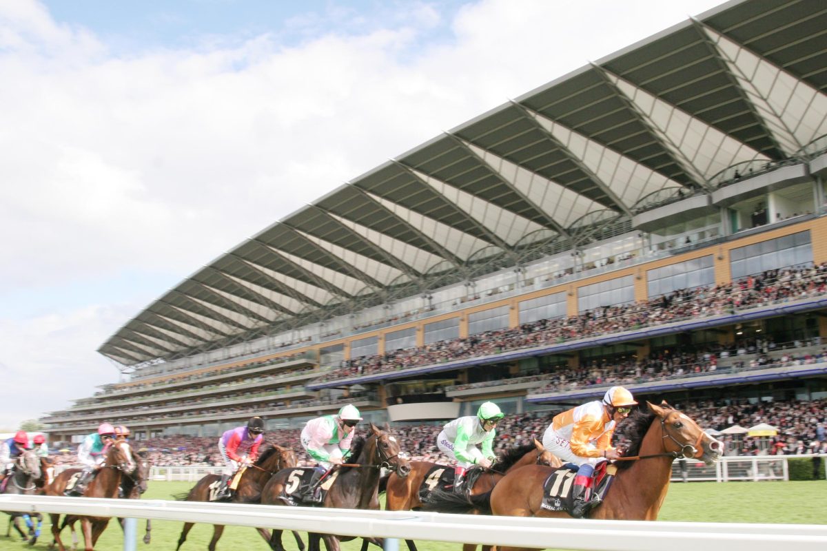Ascot – Maßnahmen gegen Chaoten - GaloppOnline.de