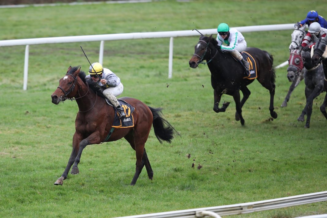 Camiro beim ersten Start im Ausgleich II gleich erfolgreich ...