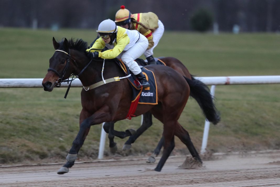 Toller Kauf! Dritter Sieg für Darrell Rivers - GaloppOnline.de