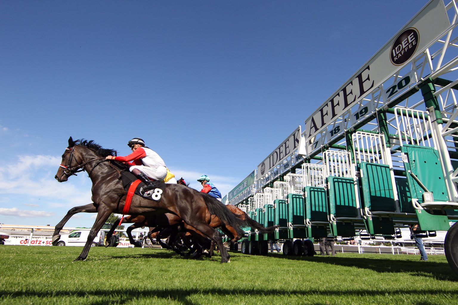 Neue Derby-Rangliste mit The Sheriff - GaloppOnline.de