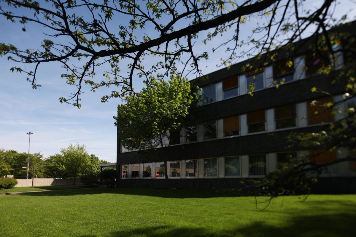 Deutscher Galopp: Systeme aktuell down - GaloppOnline.de