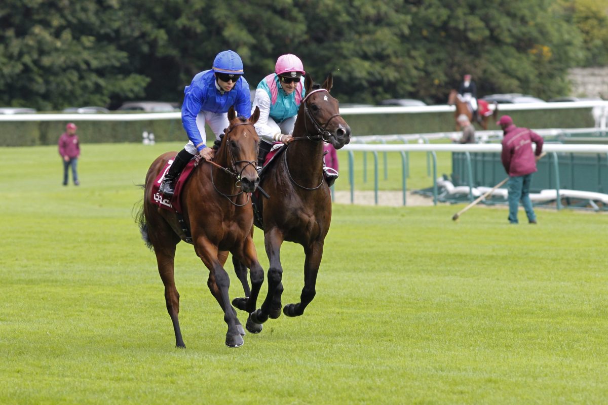 Was macht eigentlich Full Mast? - GaloppOnline.de