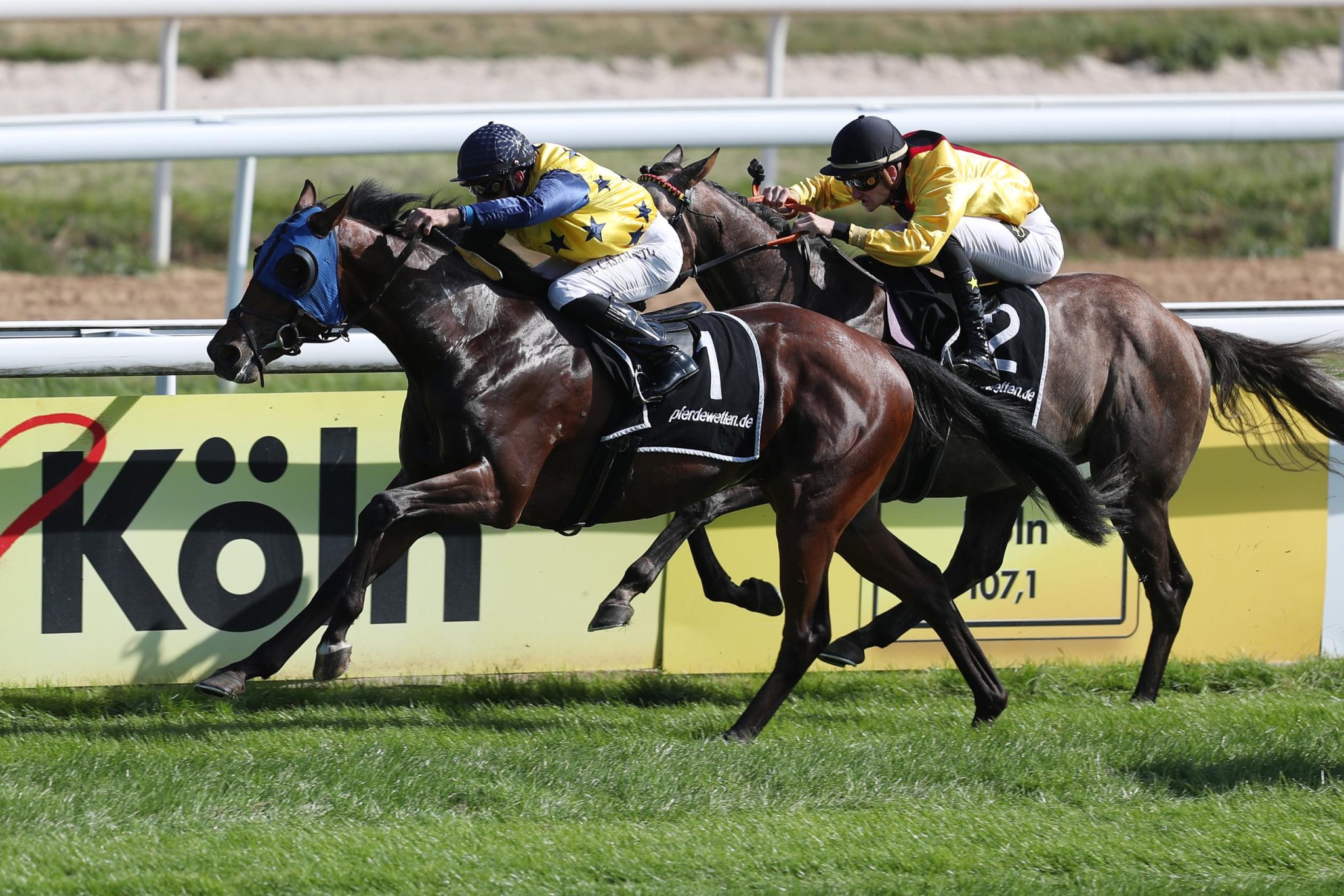 Grocer Jack im Haggas-Quartier - GaloppOnline.de