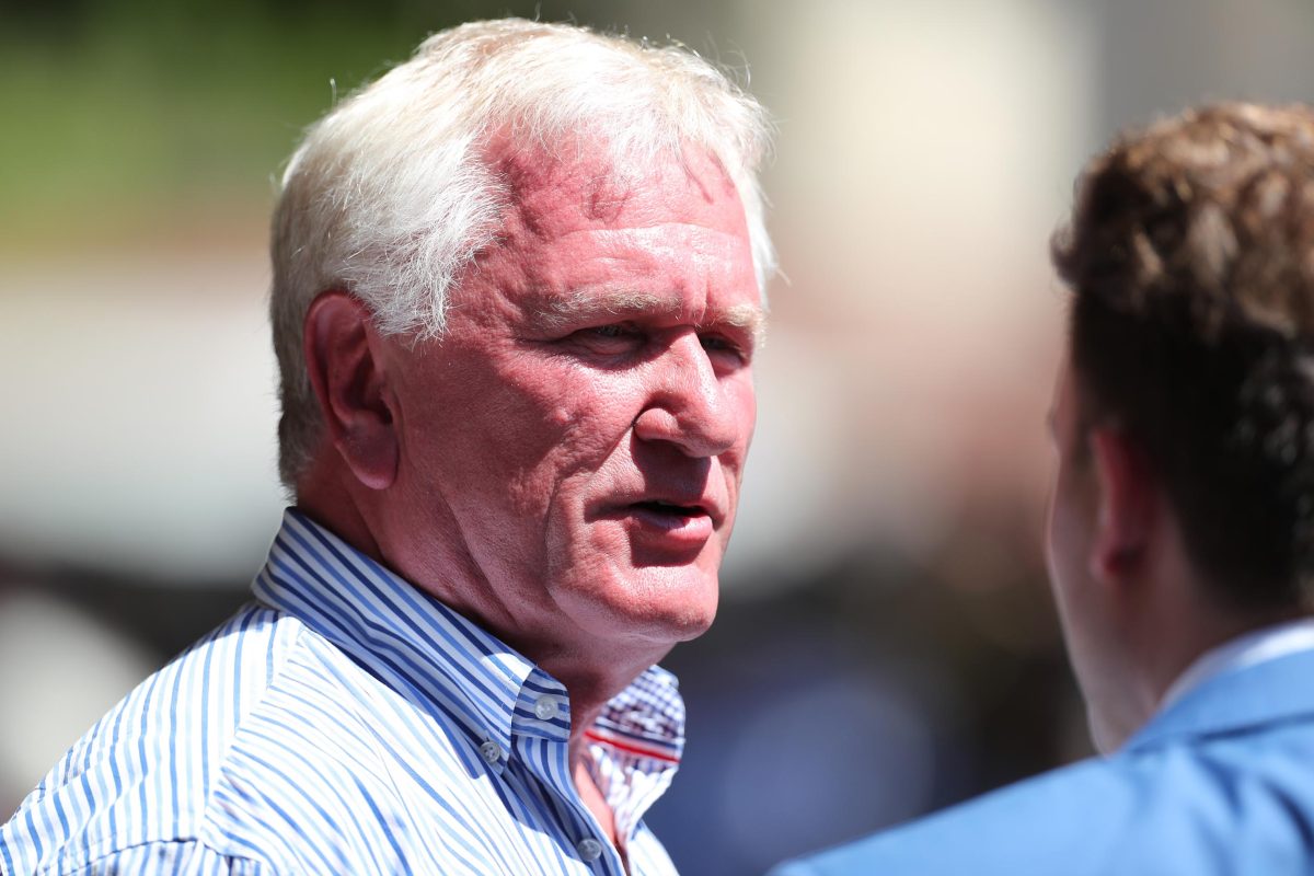 Pferde von Holger Renz komplett weg bei Schiergen - GaloppOnline.de