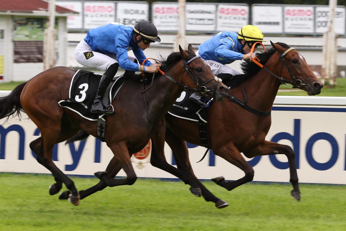 Deutsche Pferde für World Cup Carnival akzeptiert - GaloppOnline.de