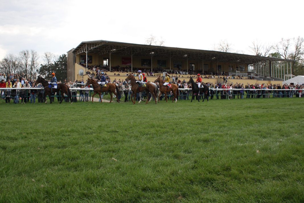 Chochox de los padrinos magicos on the initial impression