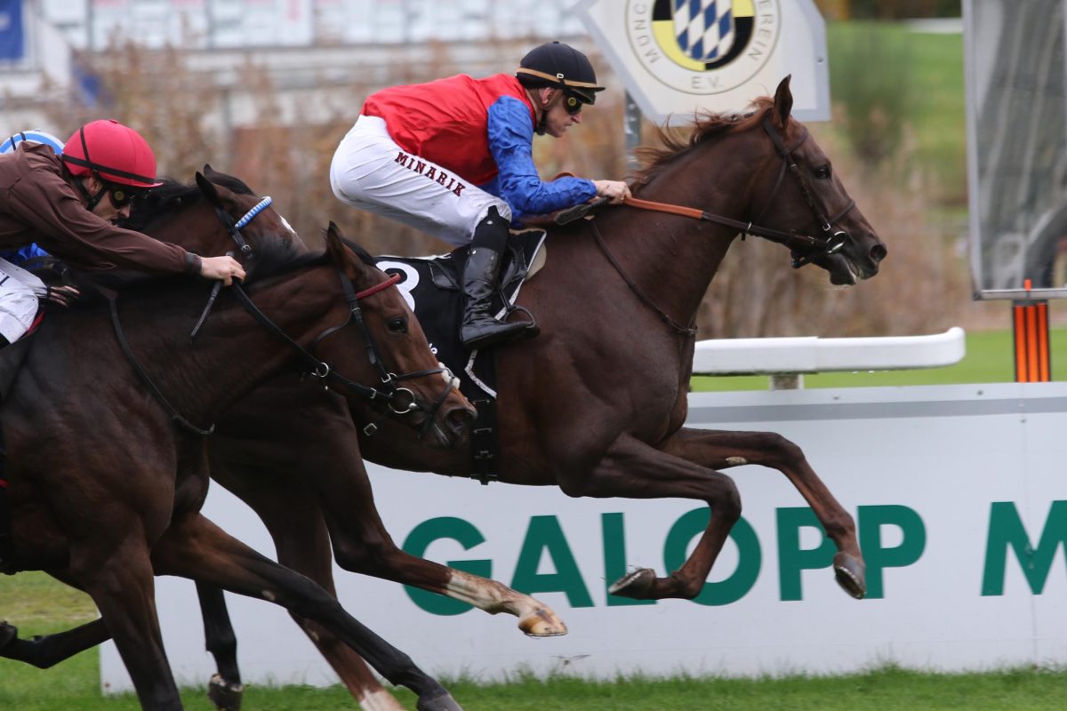 Erste Stuten von Mare Australis und Nerium tragend - GaloppOnline.de