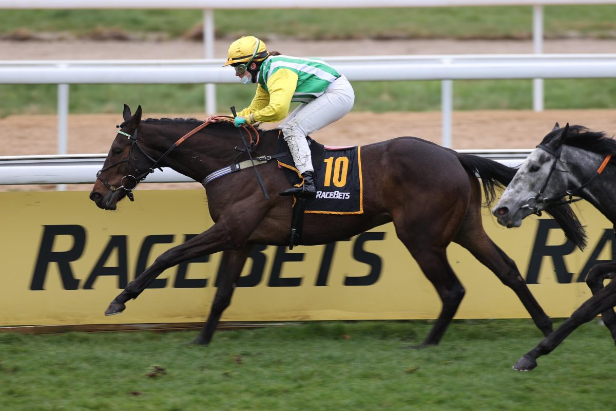 Mittwoch: 21 deutsche Starter in Mons - GaloppOnline.de