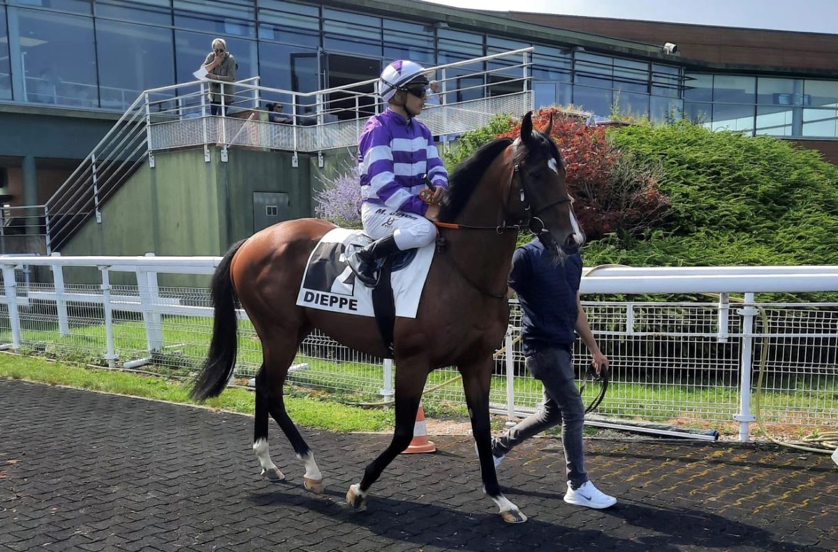 Quello vor Big Boots – Schiergen-Form steht auch in Frankreich ...
