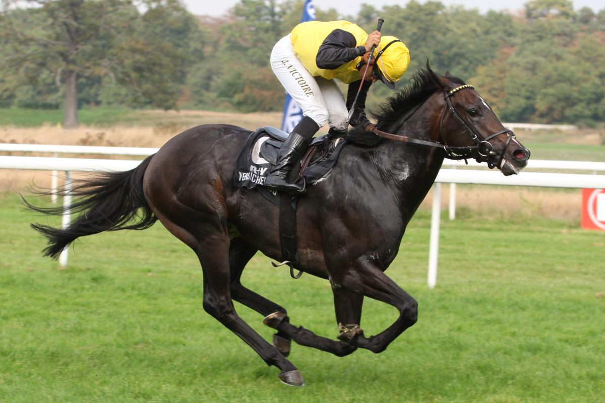 Querari-Sohn Dritter in Südafrikas größtem Rennen - GaloppOnline.de