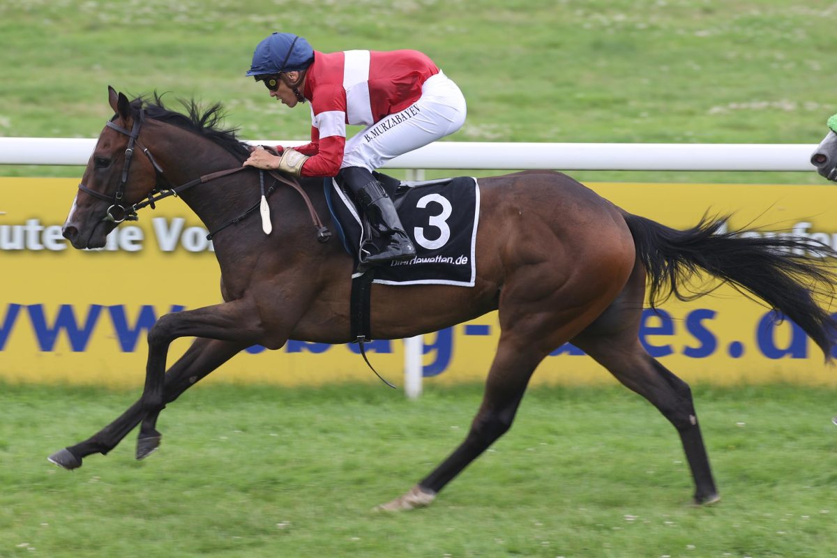 Rocchigiani per Wild Card zur Arc Sale - GaloppOnline.de