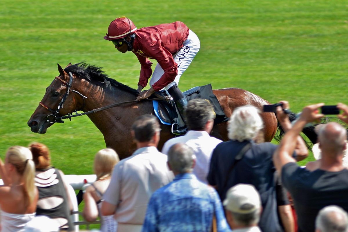 Rogue Runner bester Deutscher in der Türkei - GaloppOnline.de