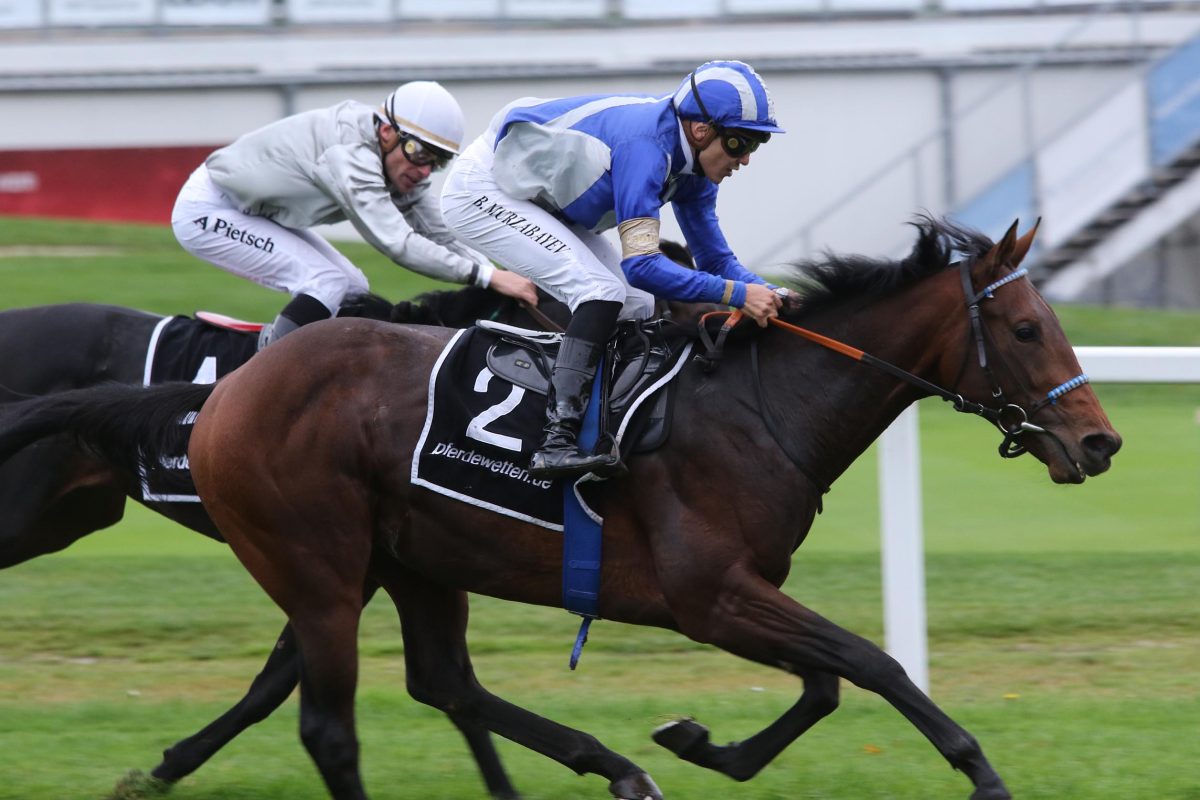 Zwei Derby-Nachnennungen, auch In Swoop kommt - GaloppOnline.de