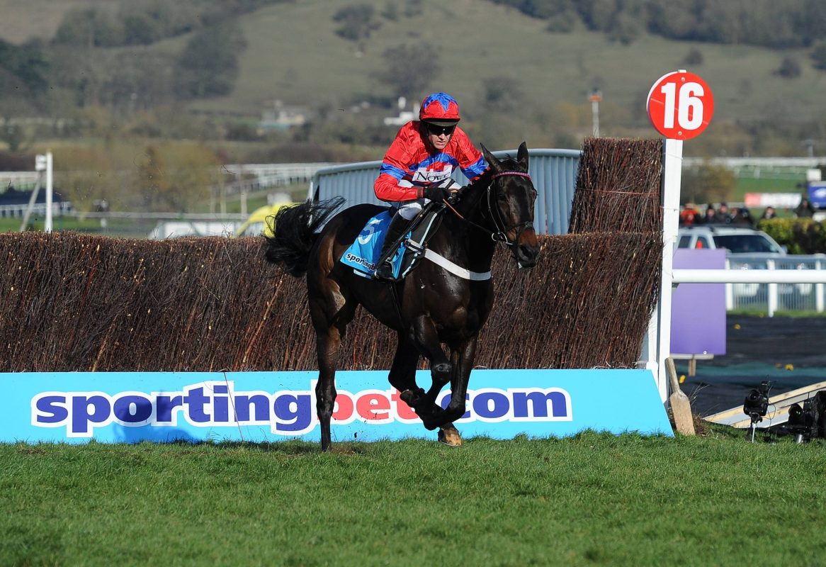 Sprinter Sacre Kampfsieger in Desert Orchid Chase - GaloppOnline.de