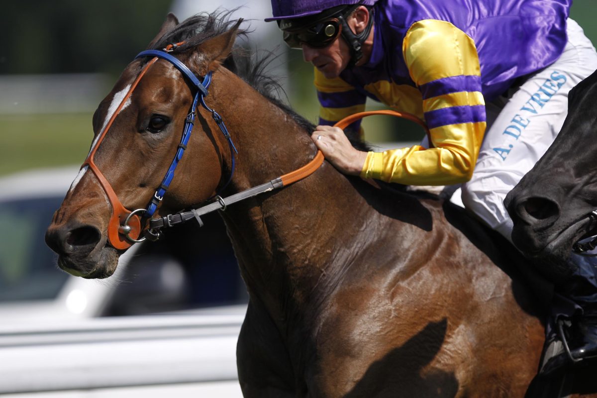 Premieren-Sieg für Andrea Friebel in Mons - GaloppOnline.de